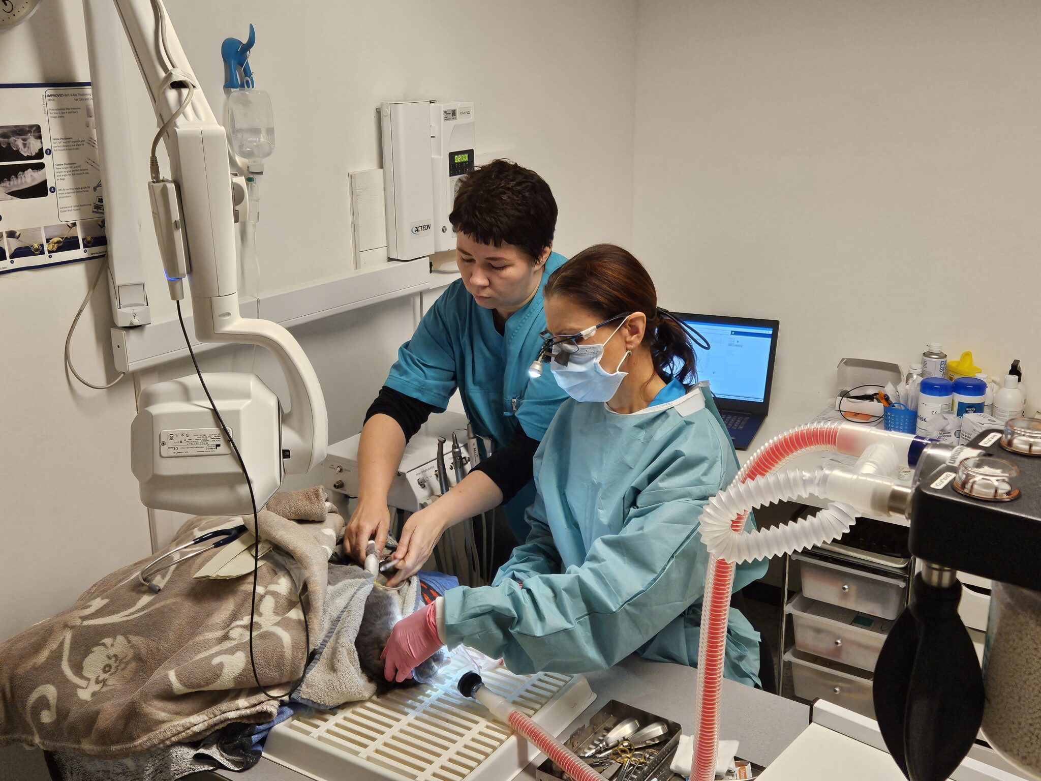 Entrepreneur of the Year in Hauho 2023 Olga Kuksina - Yrittajat.fi